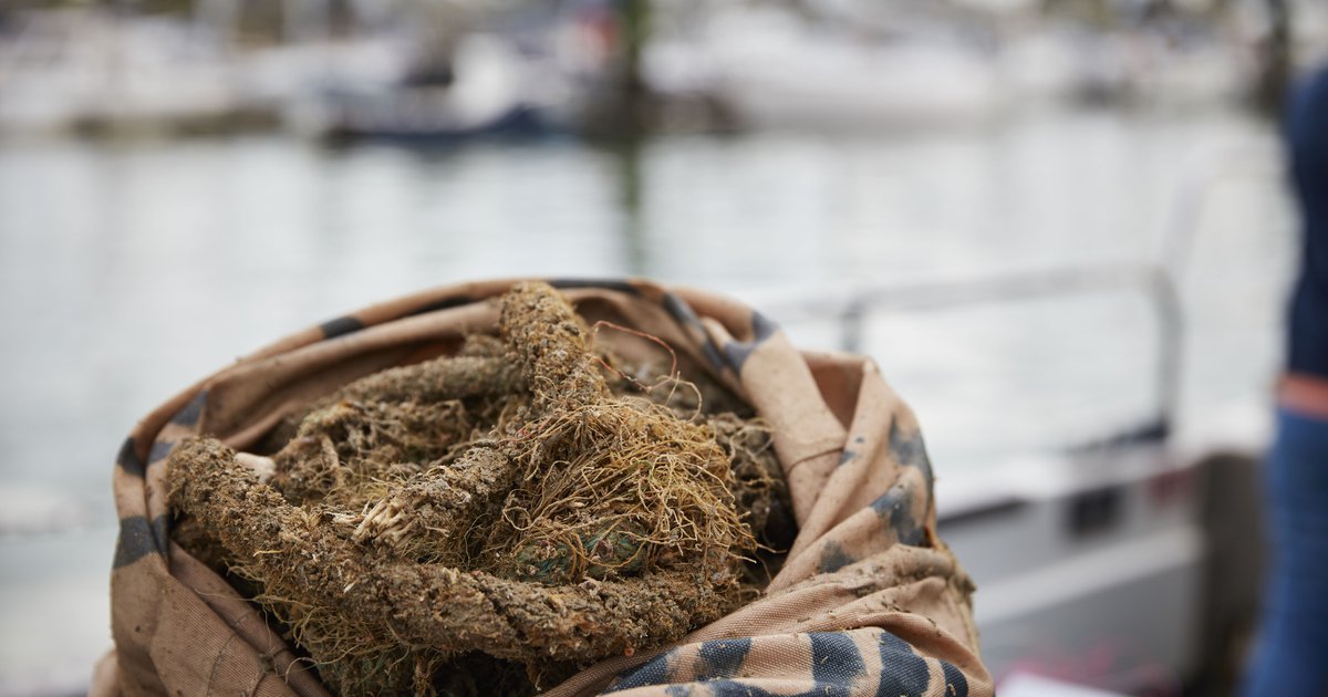 Harvesting the sea | Material Lab