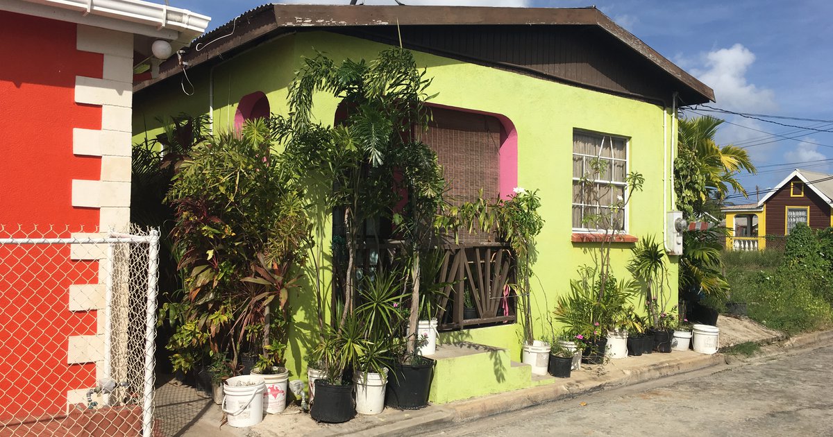 Caribbean Colour | Material Lab