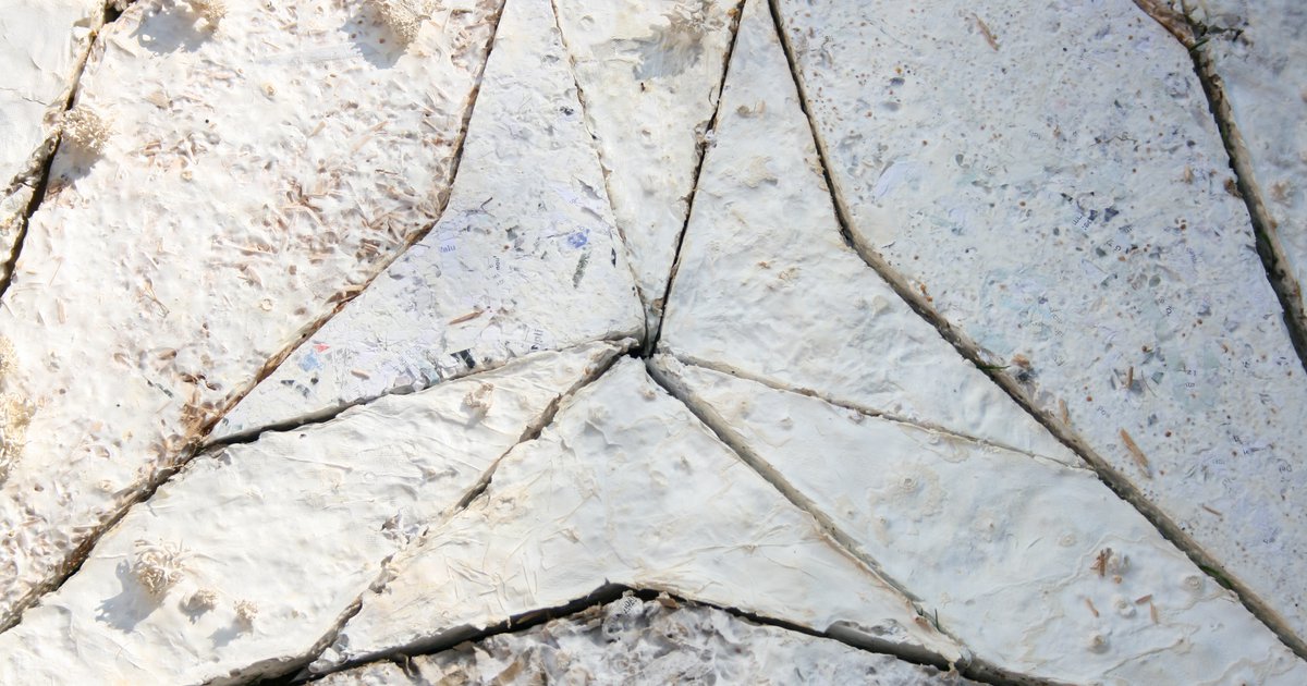 Biohm allows nature to lead innovation | Material Lab