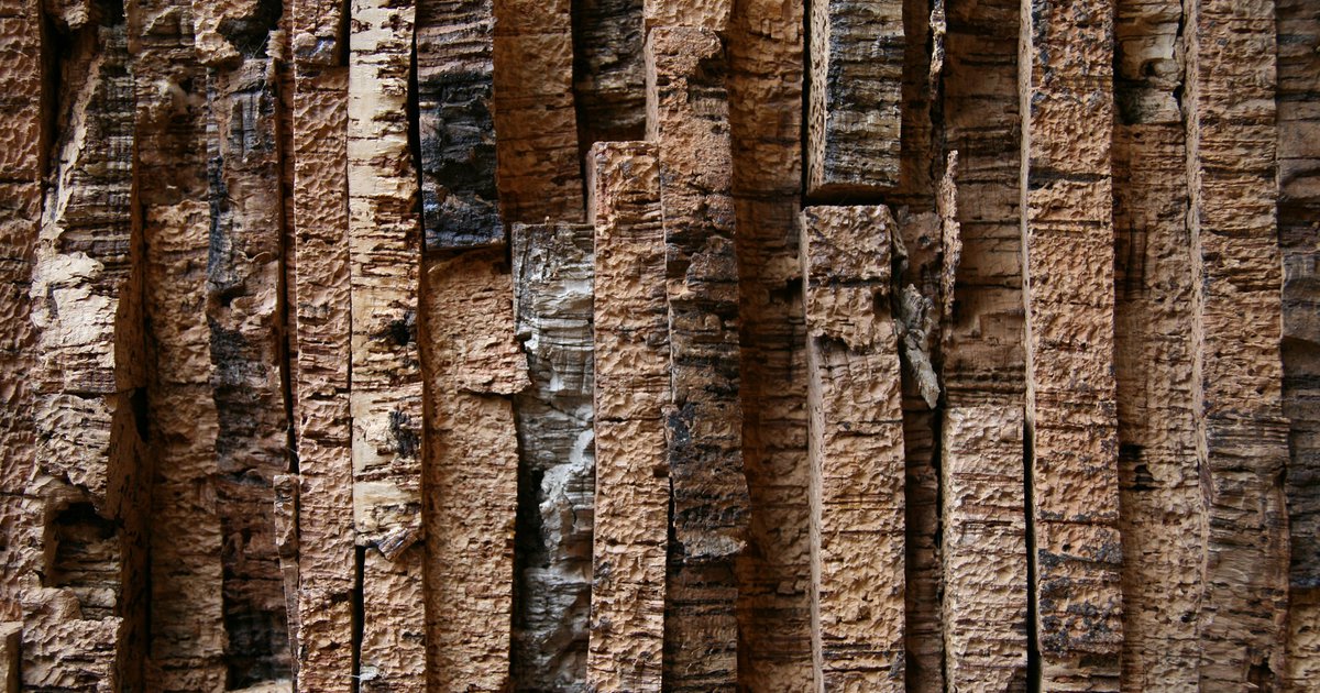 Discover Granorte | Material Lab