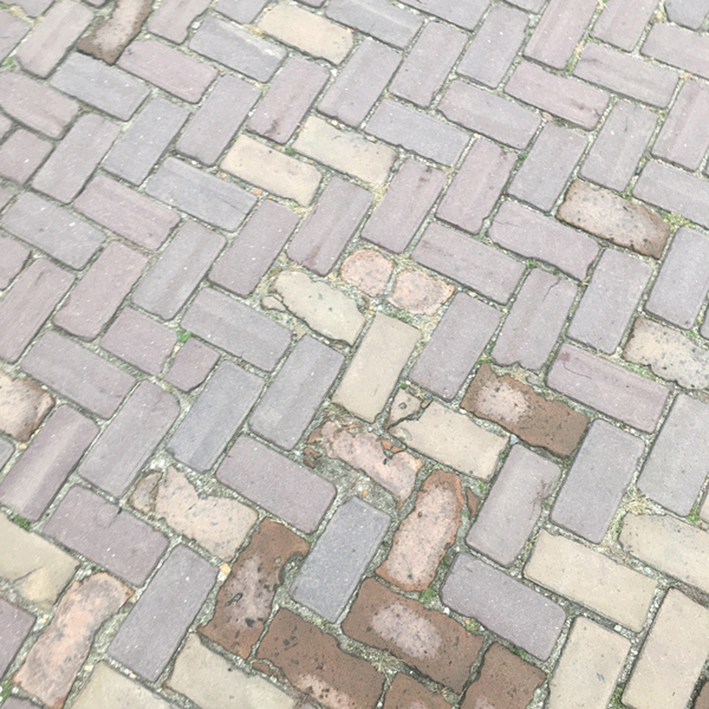 Surface Spot : Dutch Bricks | Material Lab