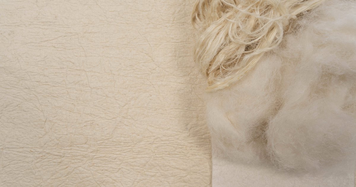 Made from pineapple leaf ﬁbre, Piñatex offers a sustainable alternative ...