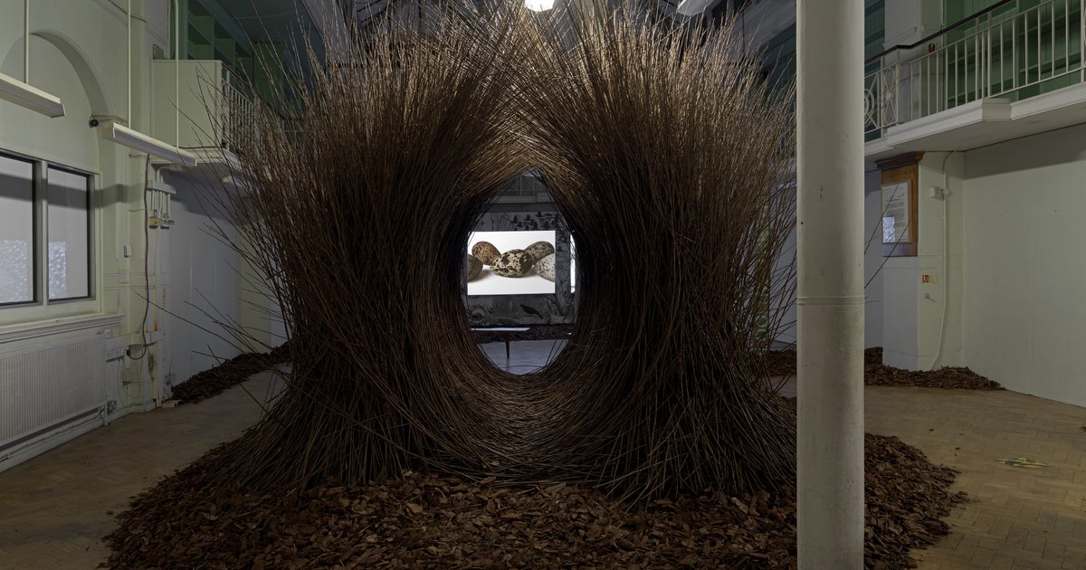 Natural Selection | Material Lab